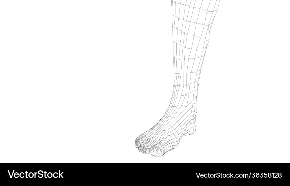 Wireframe leg close-up view Royalty Free Vector Image