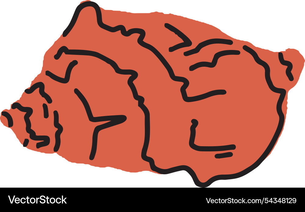 Detailed hand drawn conch shell Royalty Free Vector Image