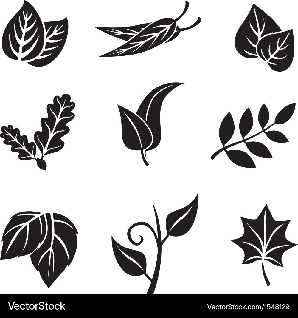 Leaves Royalty Free Vector Image - VectorStock