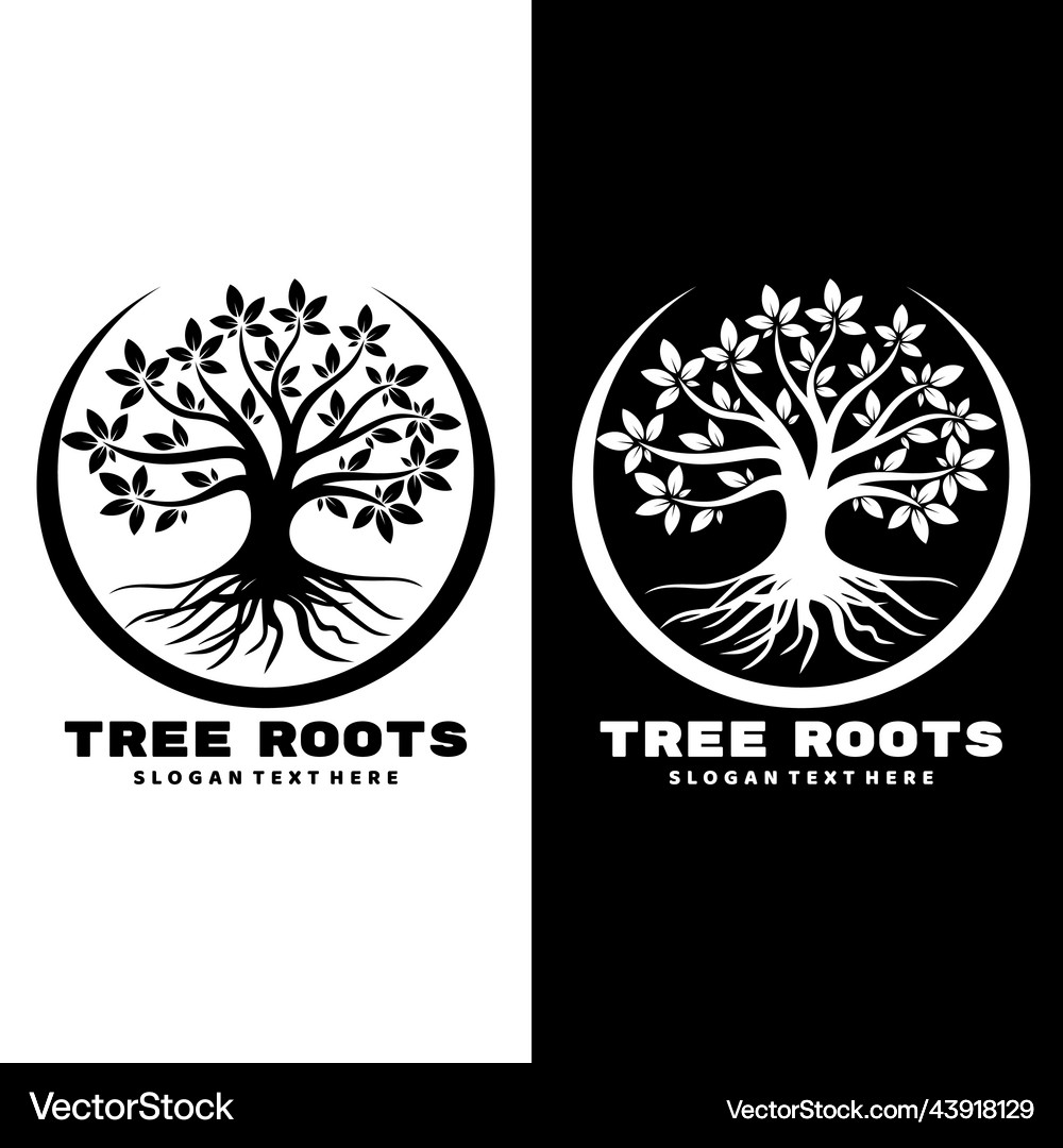 Tree Roots Logo - Natural Growth Icon Royalty Free Vector