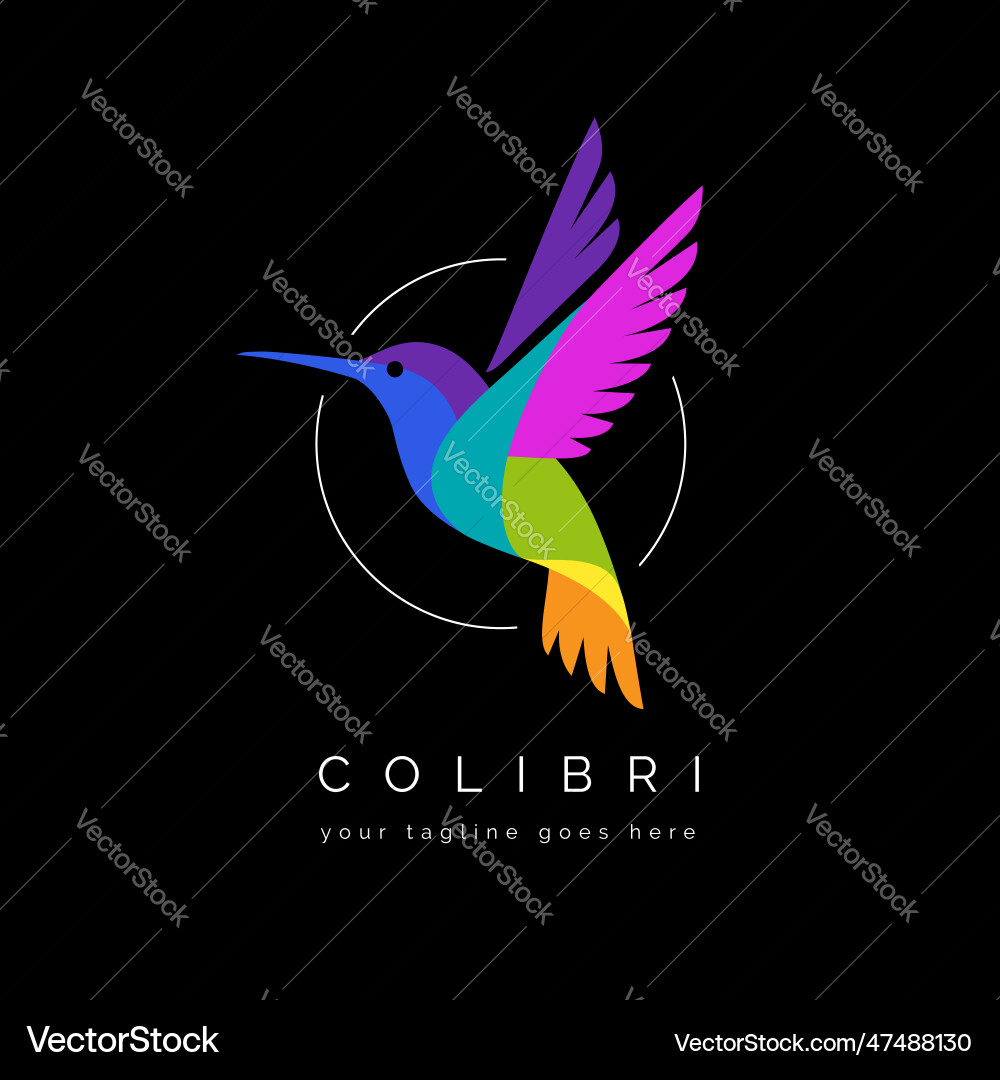 Colorful hummingbird logo on black background Vector Image