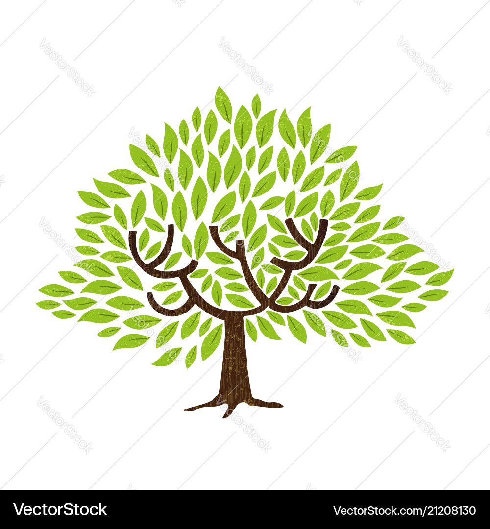 Green leaf tree isolated for nature concept Vector Image