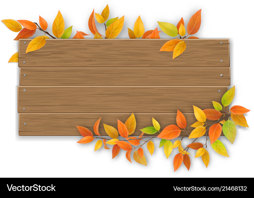 Autumn Tree Branch Sign Royalty Free Vector Image