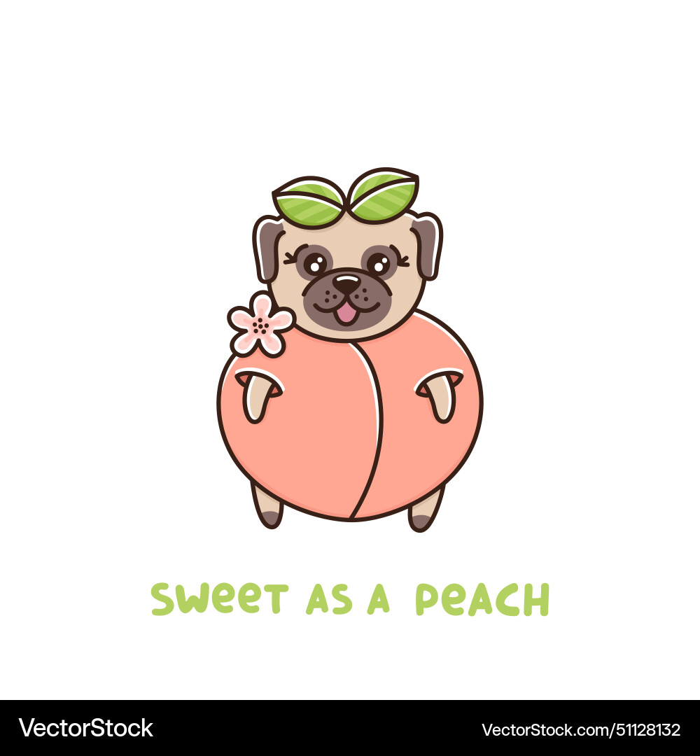 Cute dog breed pug in peach Royalty Free Vector Image