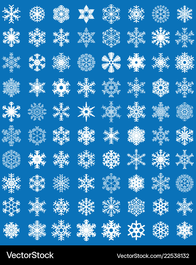 Set of different white snowflakes Royalty Free Vector Image