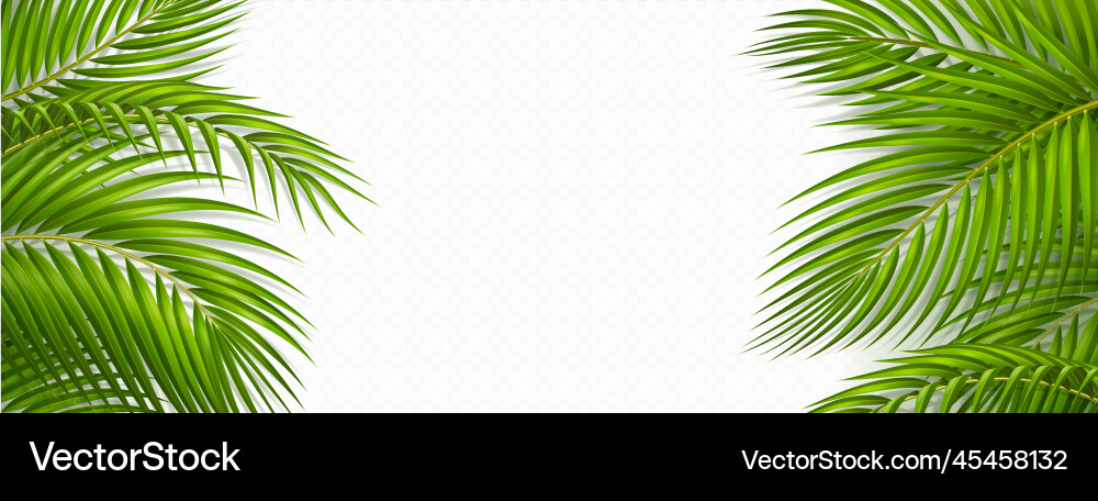 Tropical frame with green palm leaves Royalty Free Vector