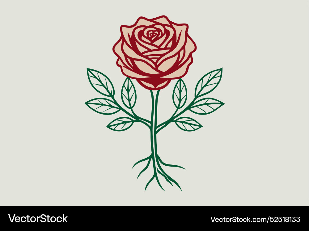 Rose flower root silhouette Royalty Free Vector Image