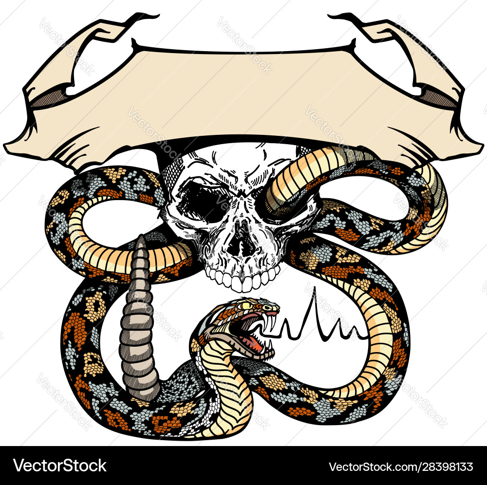 Skull and snake template with ribbon Royalty Free Vector
