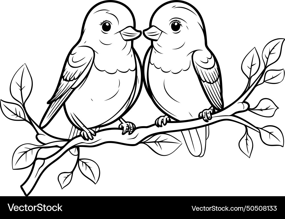 Two birds sitting on a branch for coloring book Vector Image