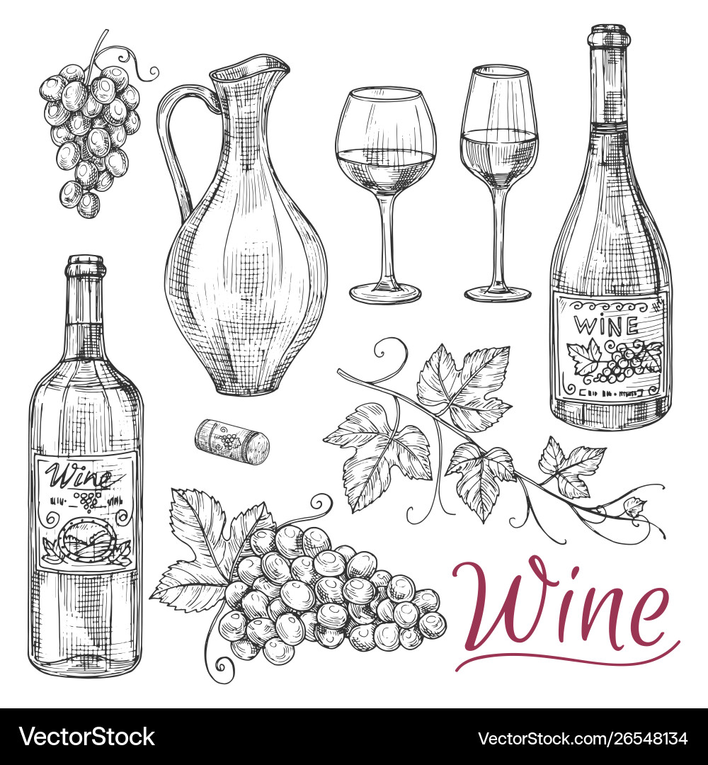 Wine jug sketch Vector Images & Graphics for Commercial Use | VectorStock