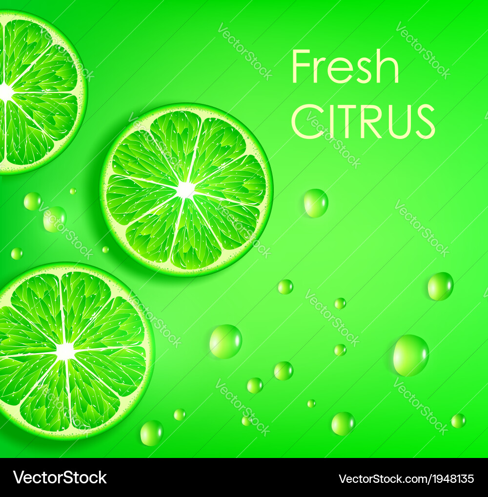 Lime on a green background Royalty Free Vector Image