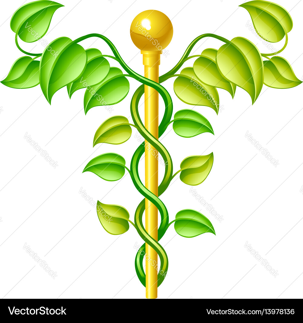 Natural caduceus concept Royalty Free Vector Image