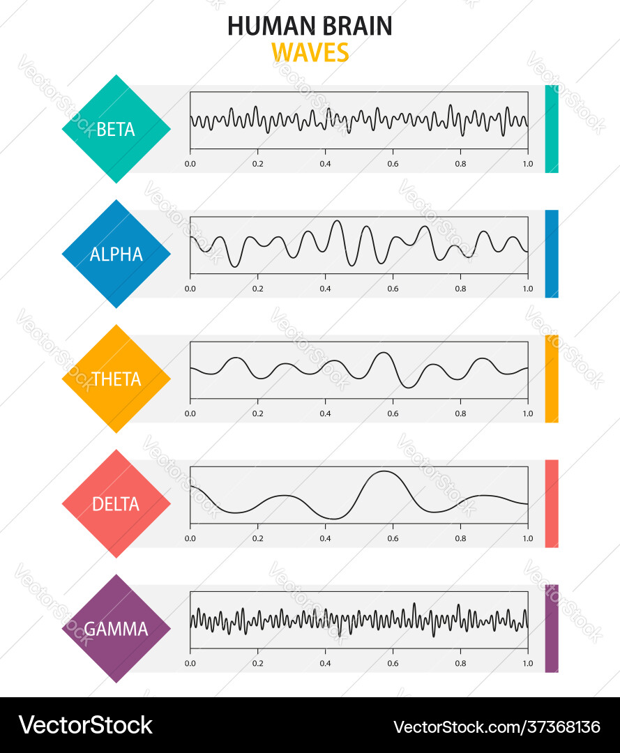 Electroencephalogram Vector Images (over 300)