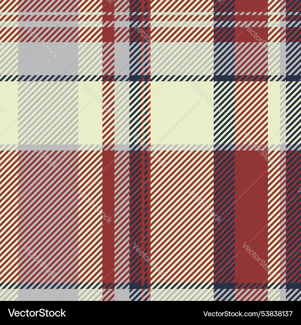 December seamless pattern packaging plaid textile Vector Image