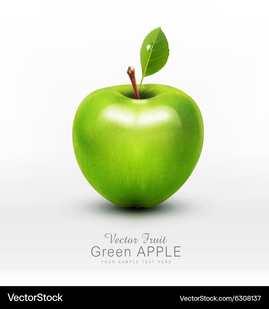 Green apple with leaf isolated Royalty Free Vector Image