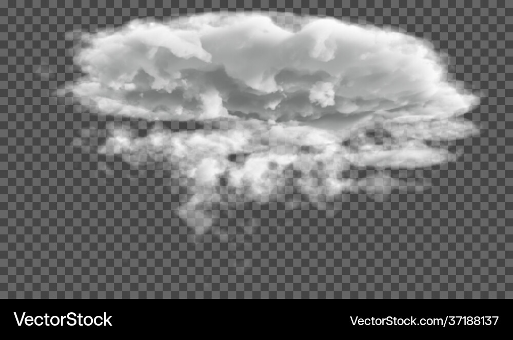 Single cloud on a transparent background Vector Image