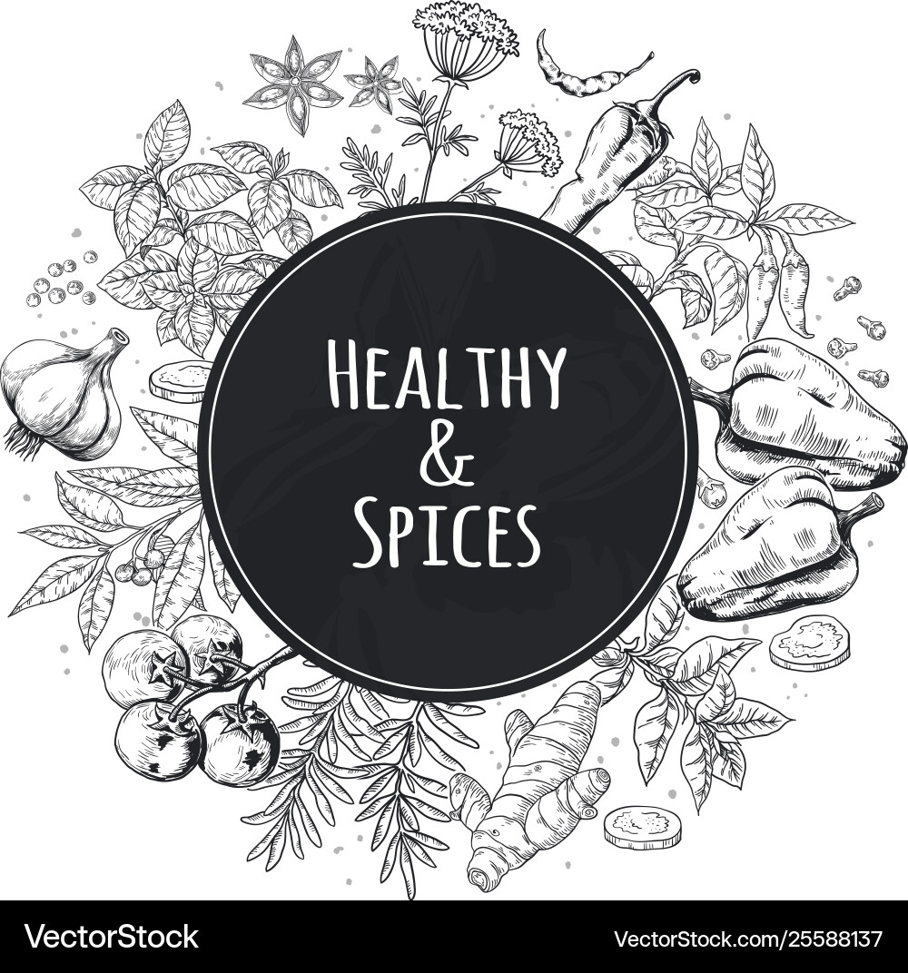 Spices & Herbs Background Royalty Free Vector Image