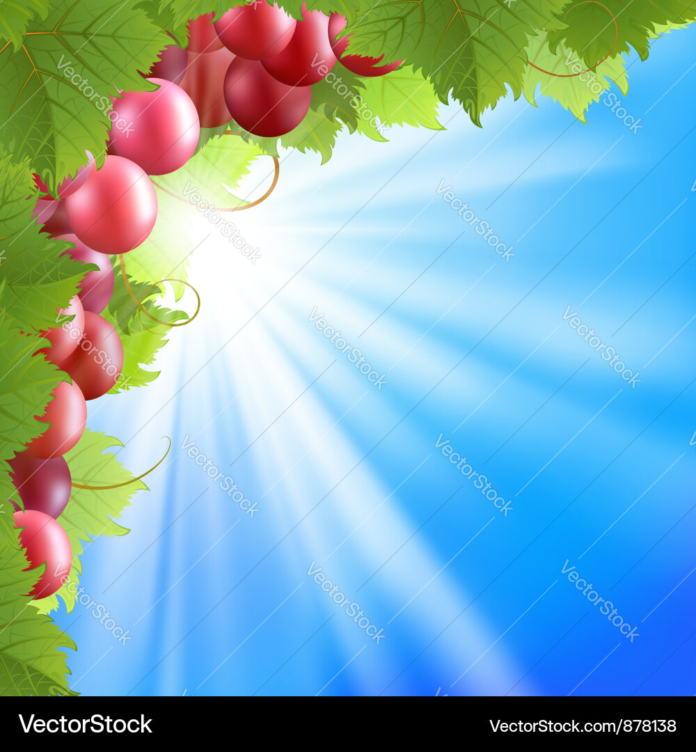 Blue sky and vine Royalty Free Vector Image - VectorStock