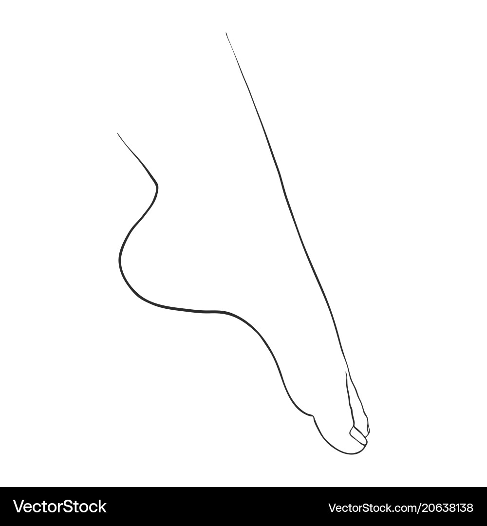 Hand drawn women foot Royalty Free Vector Image