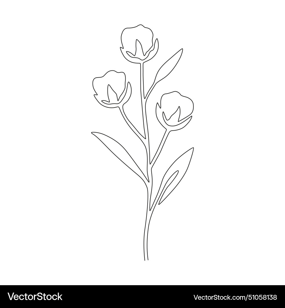 Rose bud line art Royalty Free Vector Image - VectorStock