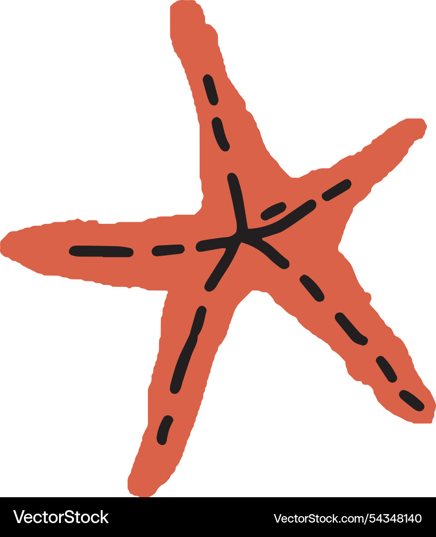 Detailed starfish ocean Royalty Free Vector Image