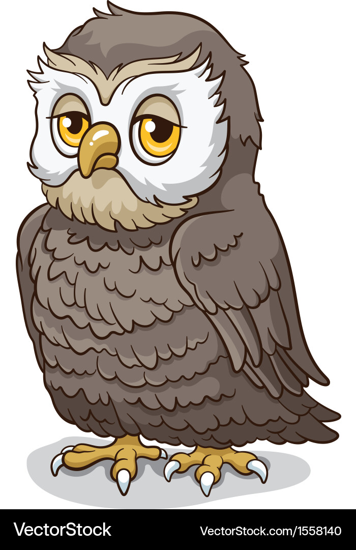 Owl Royalty Free Vector Image - VectorStock
