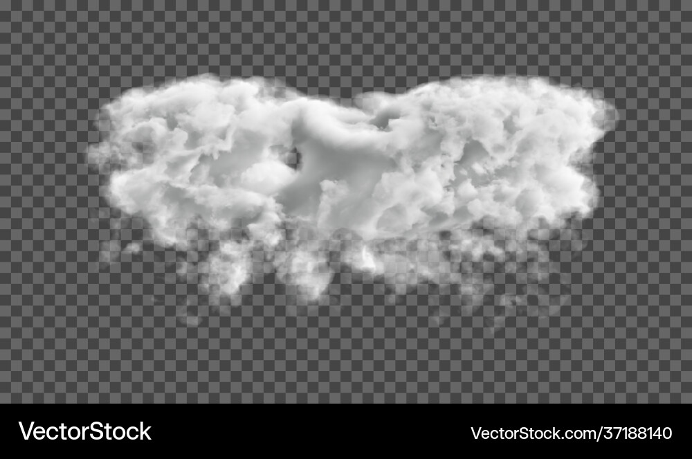 Single cloud on a transparent background Vector Image