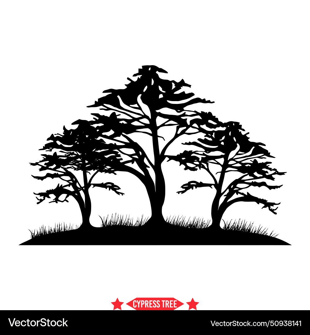 Cypress tree silhouette collection timeless Vector Image