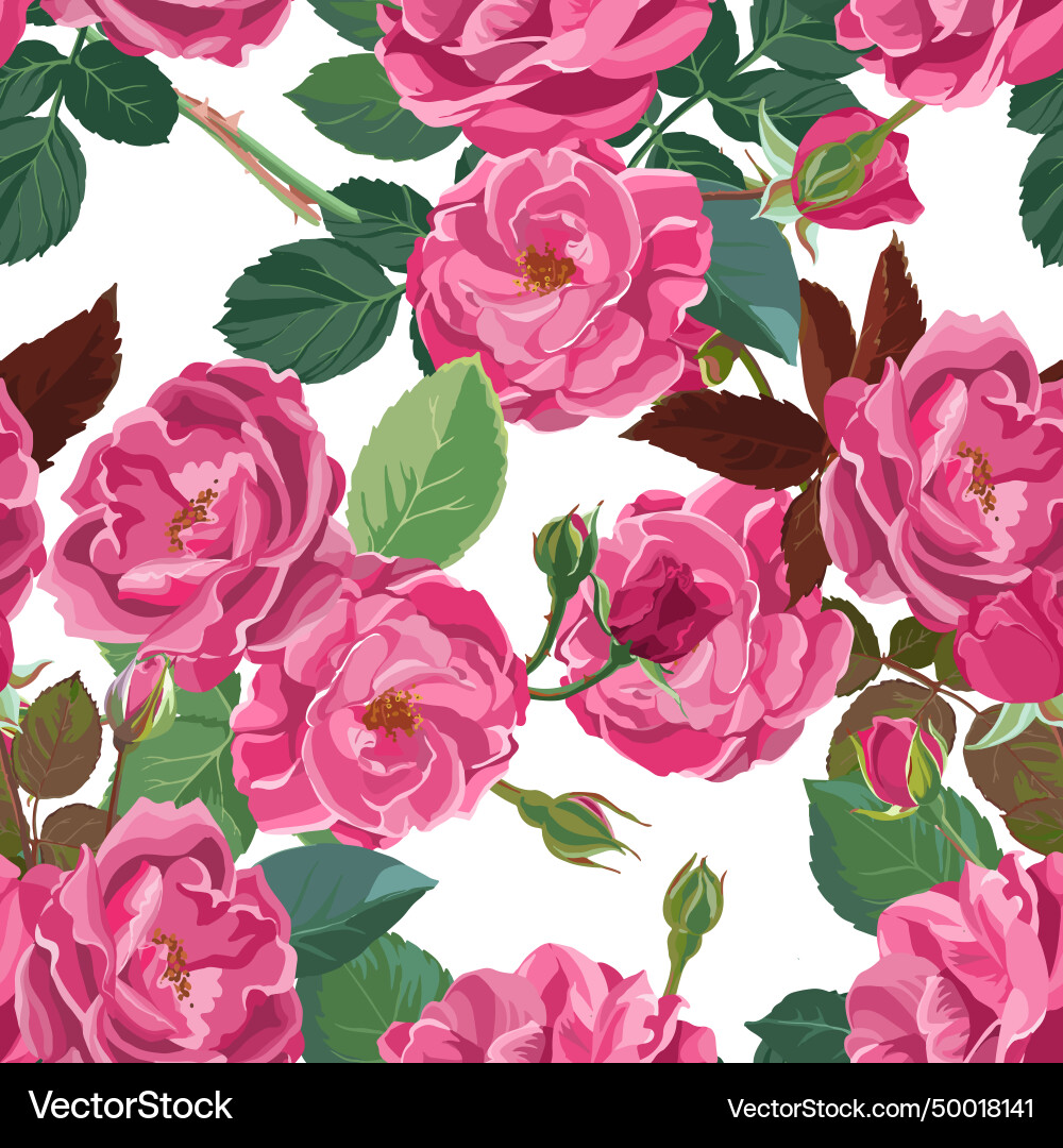 Seamless pattern of pink roses Royalty Free Vector Image