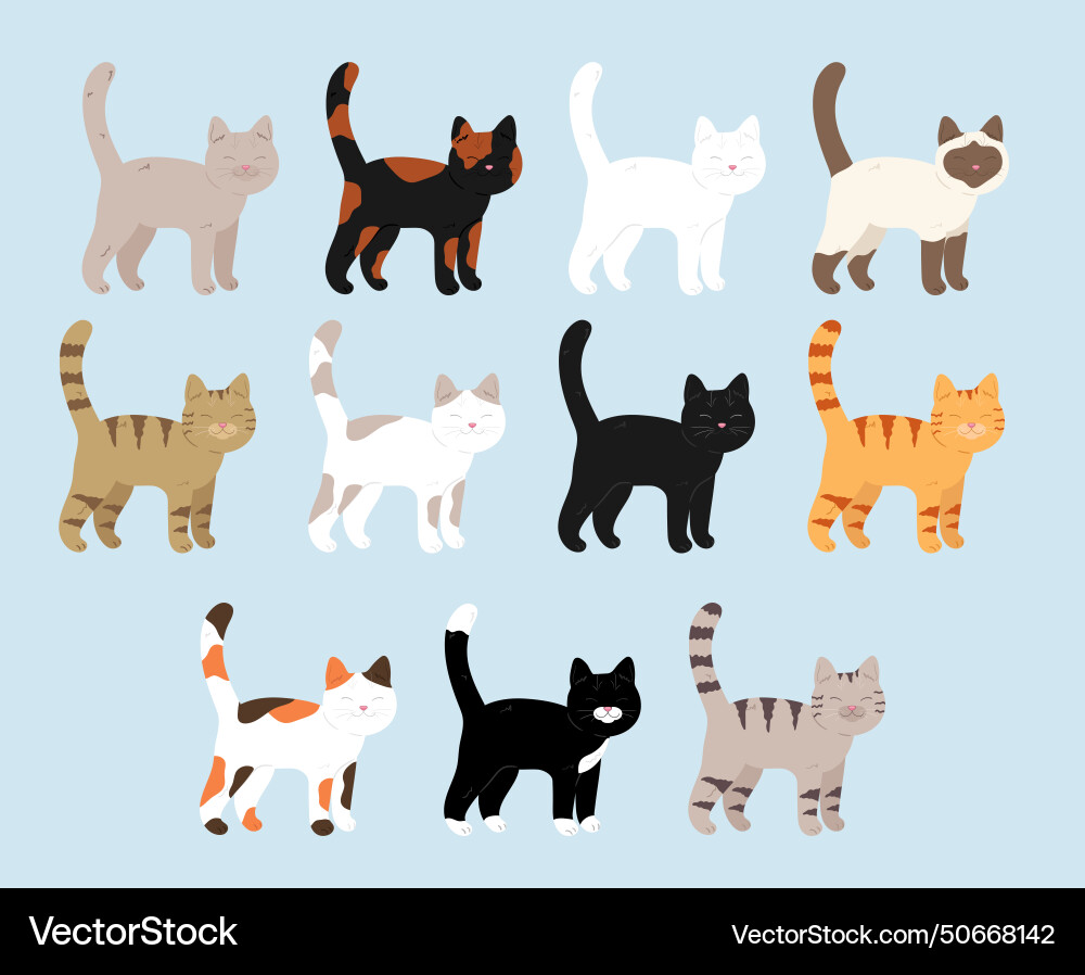 Collection of hand drawn cats with different Vector Image