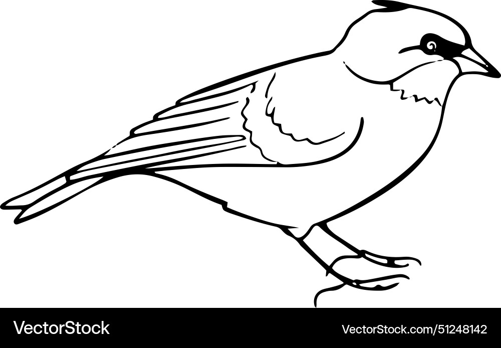 Minimalist bird outline Royalty Free Vector Image