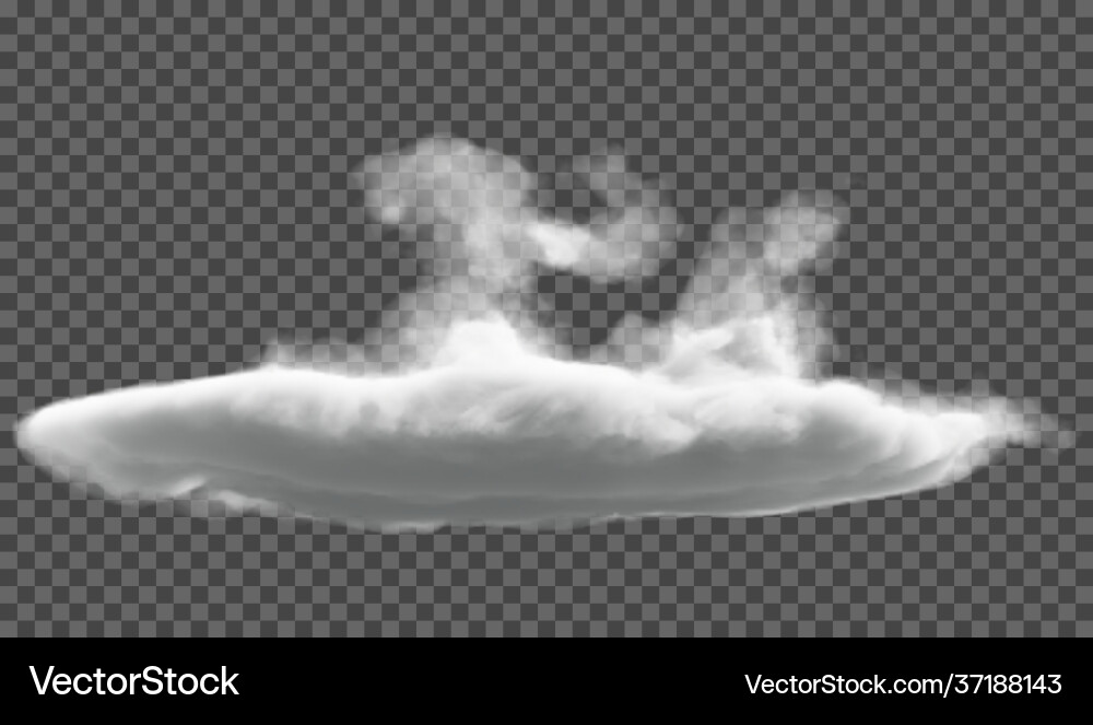 Single cloud on a transparent background Vector Image