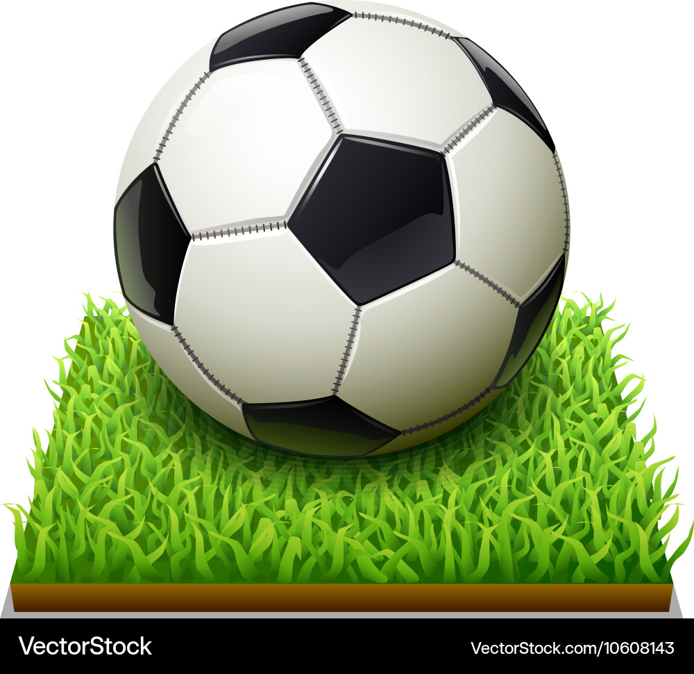 Soccer-icon Royalty Free Vector Image - VectorStock