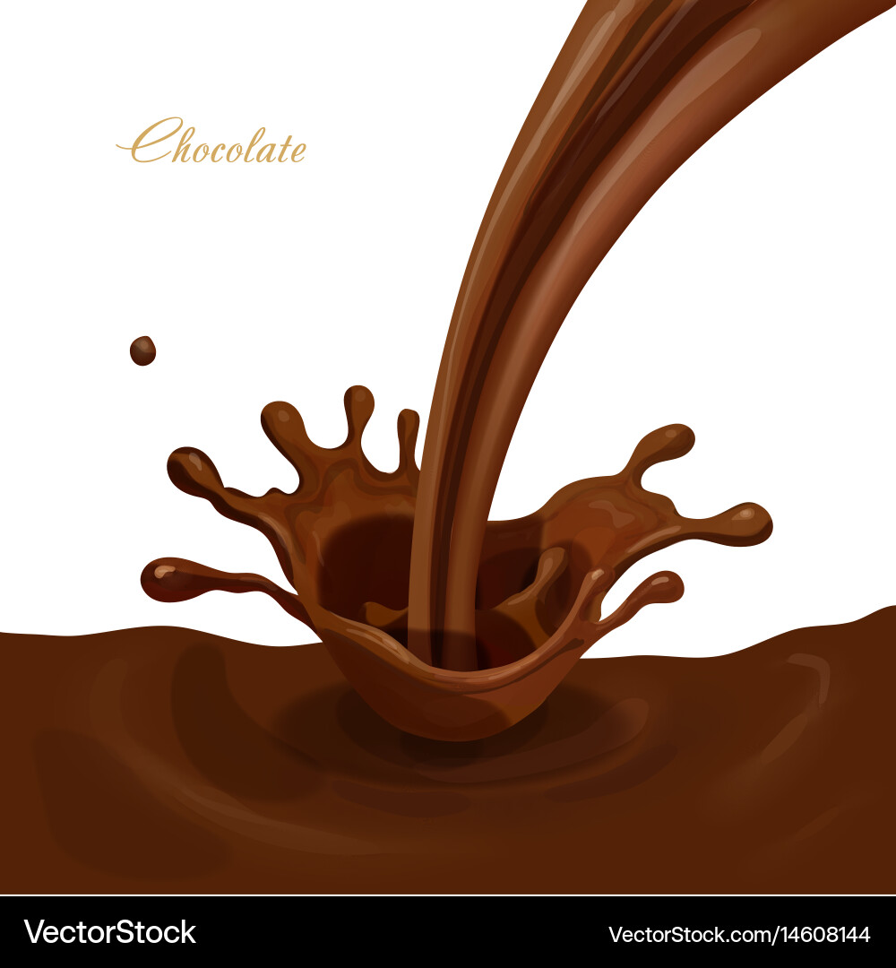 Chocolate splash isolated Royalty Free Vector Image