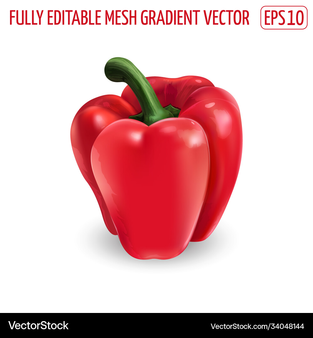 Red bell pepper on a white background Royalty Free Vector