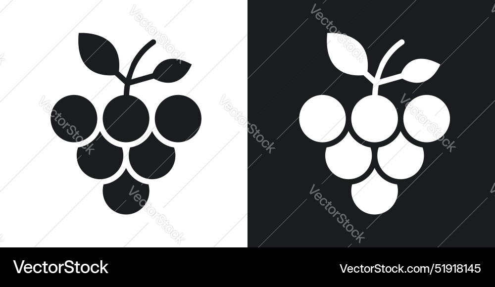 Grape icon set in solid black and white color Vector Image