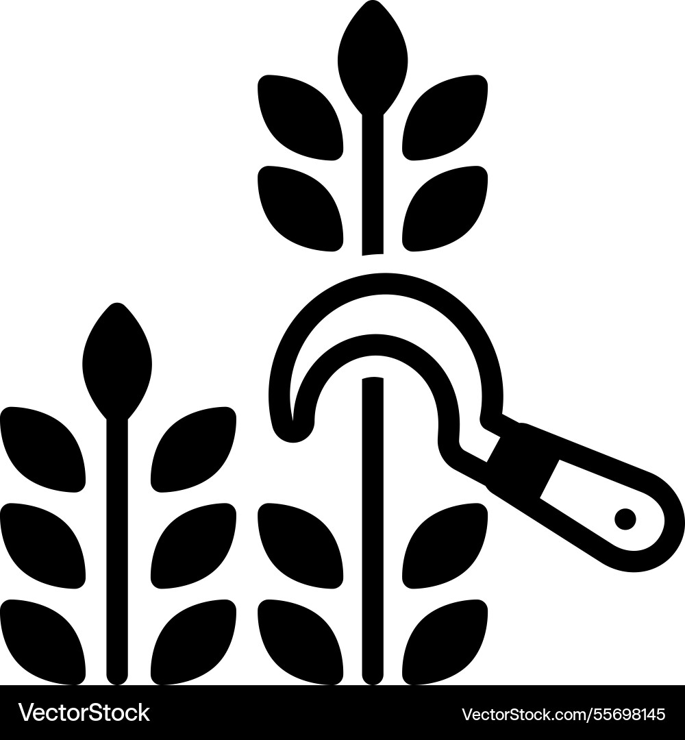 Harvest Royalty Free Vector Image - VectorStock