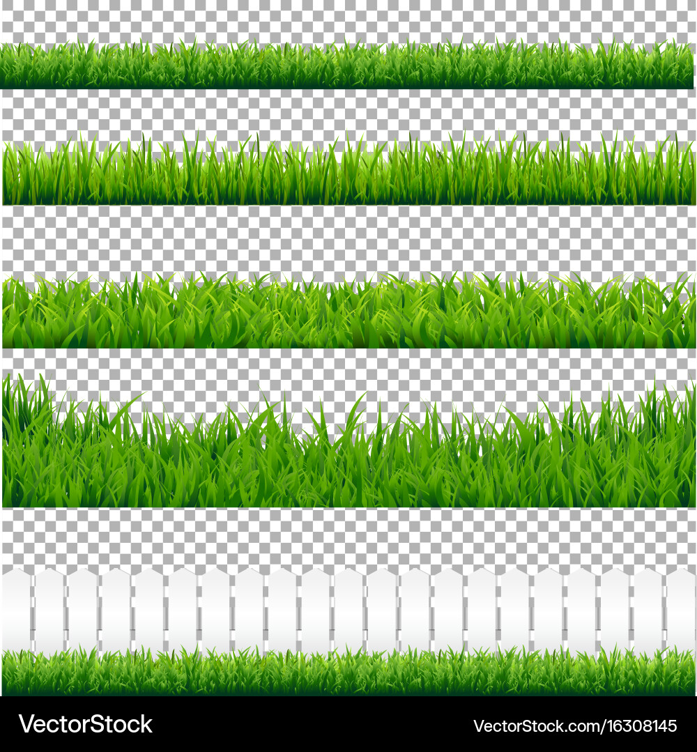 Realistic green grass borders Royalty Free Vector Image