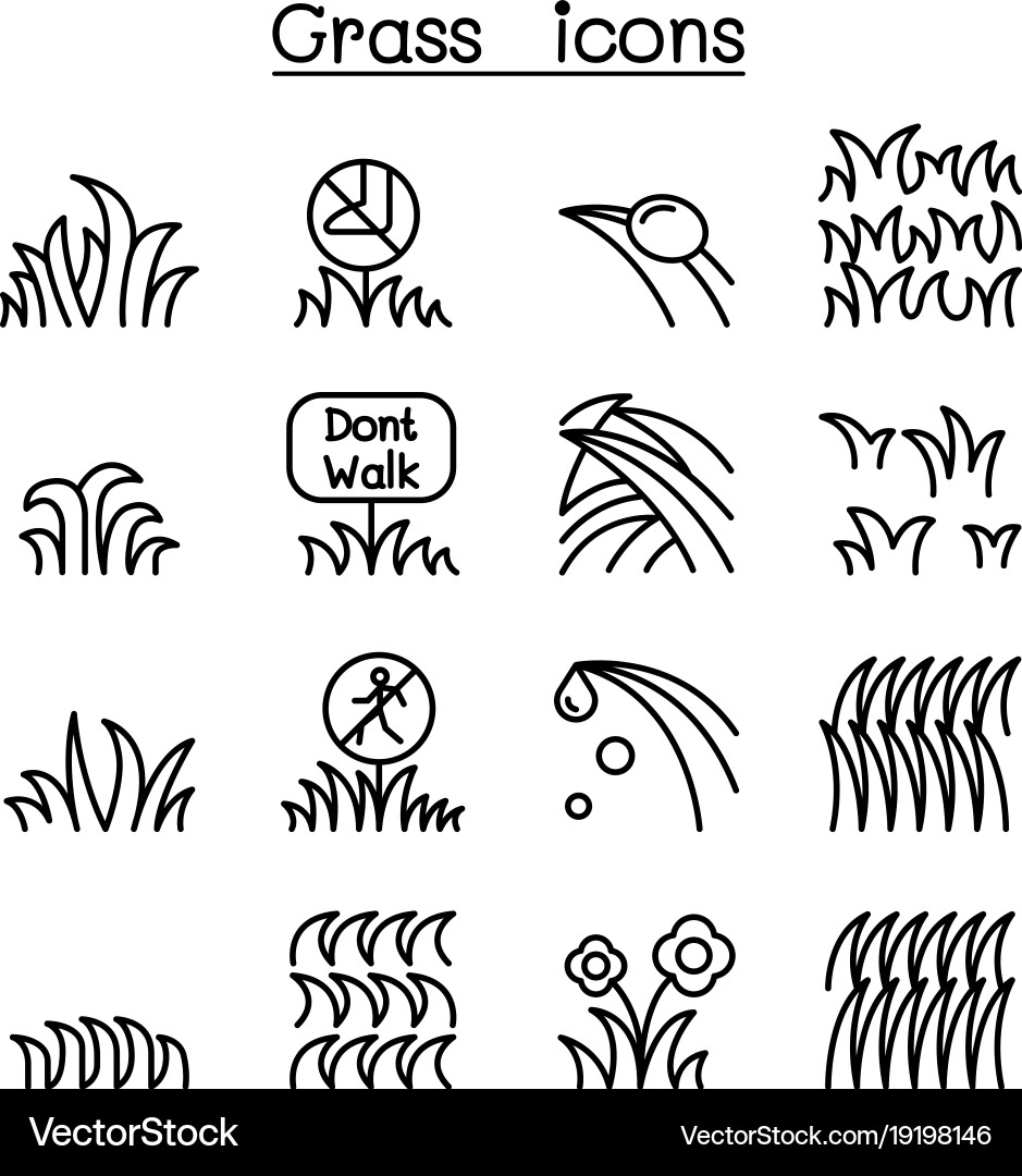 Gras-Symbol in dünner Linie Stil Lizenzfreies Vektorbild