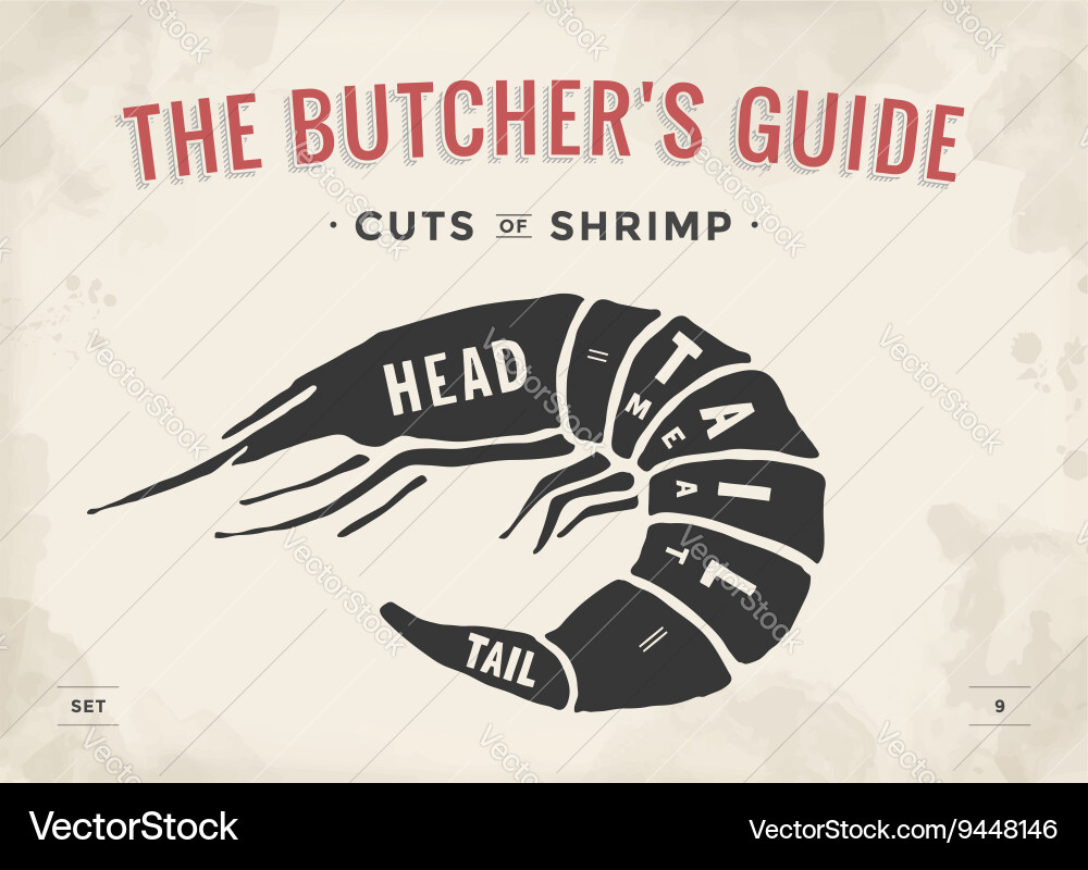 Meat Cut Diagram - Seafood & Butcher Guide Vector Image
