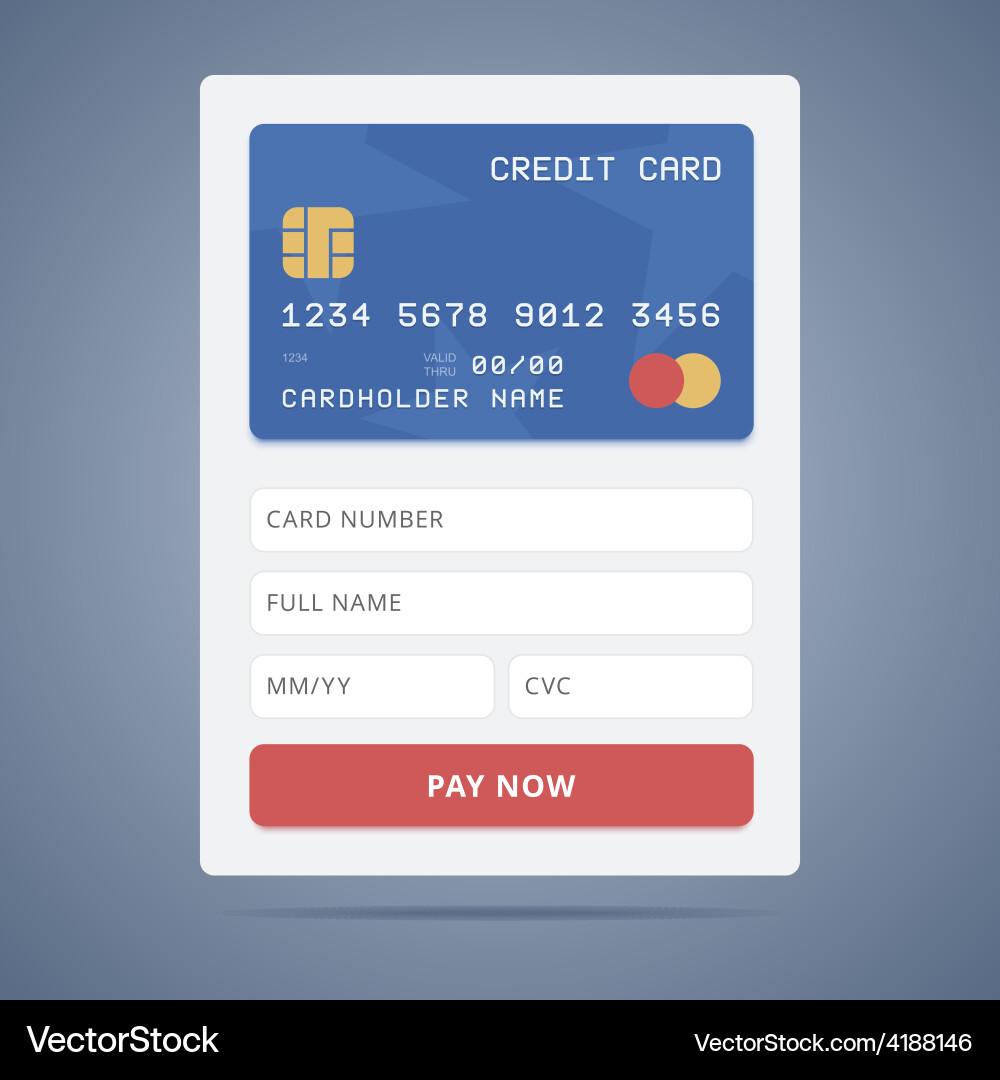 Payment application form with credit card Vector Image