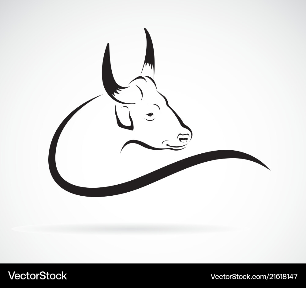 A bull design on white background wild animals Vector Image
