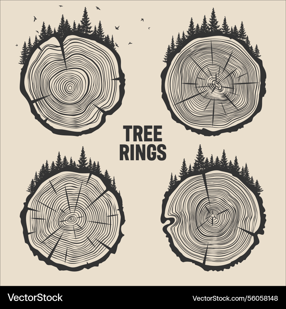 Round tree trunk cuts with trees forest and birds Vector Image