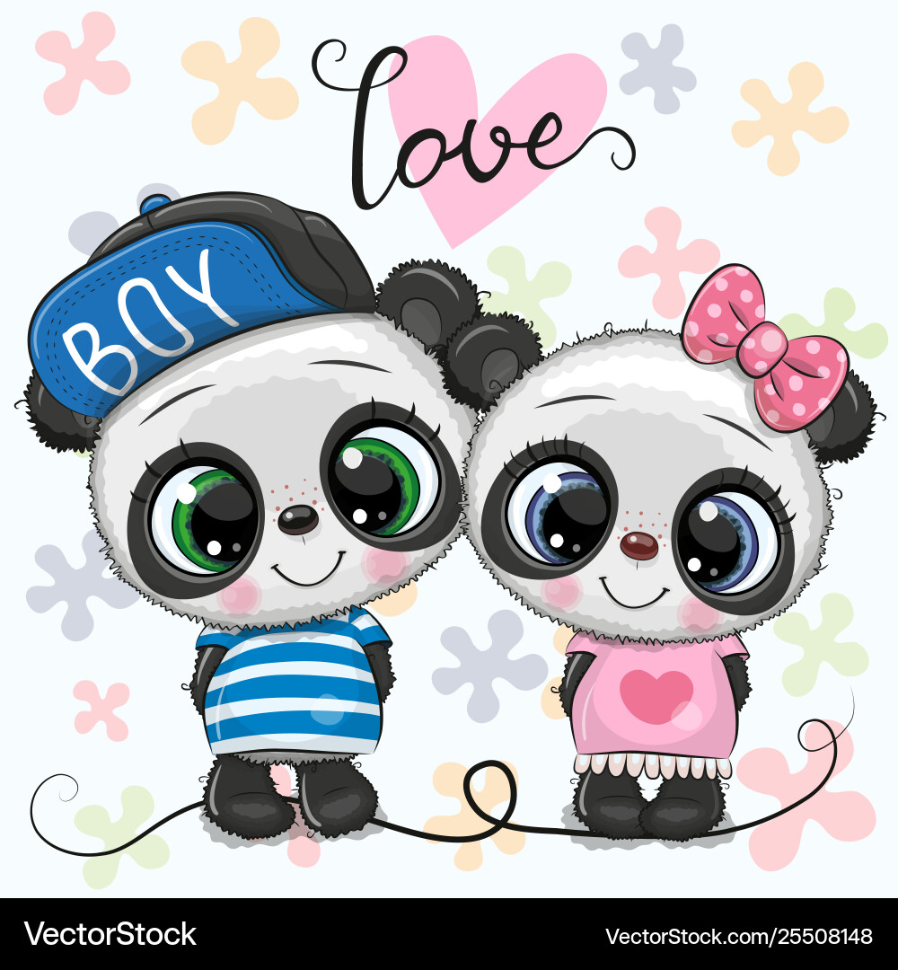 Two cartoon pandas on a flowers background Vector Image