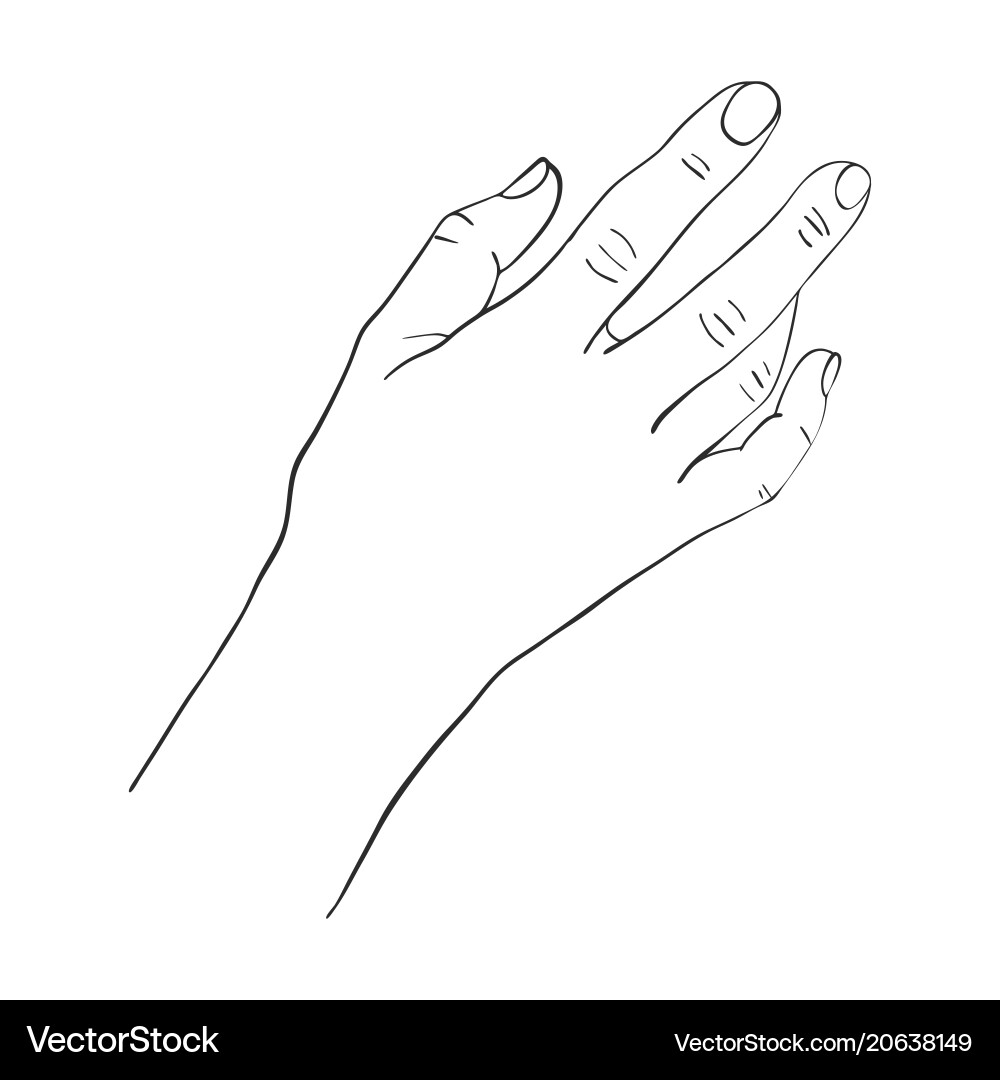 Hand drawn woman Royalty Free Vector Image - VectorStock