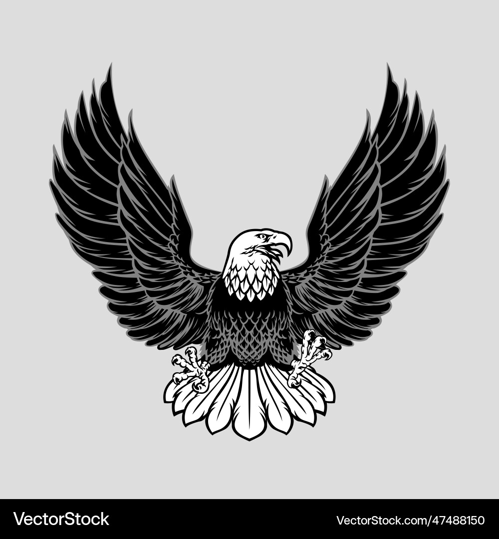 Black and white bald eagle spreading the wings Vector Image