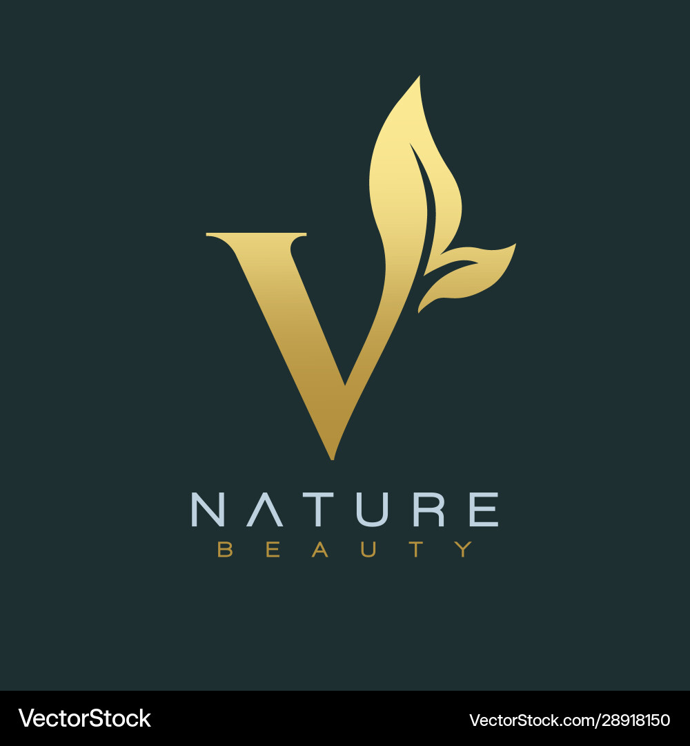 Letter v luxury logo design icon Royalty Free Vector Image
