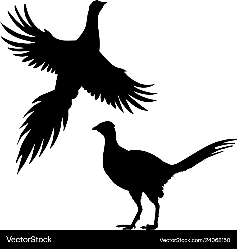 Bird Flying Top View Vector Images (over 140)