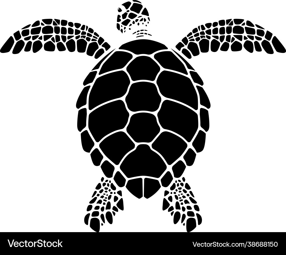 Swimming sea turtle graphics Royalty Free Vector Image