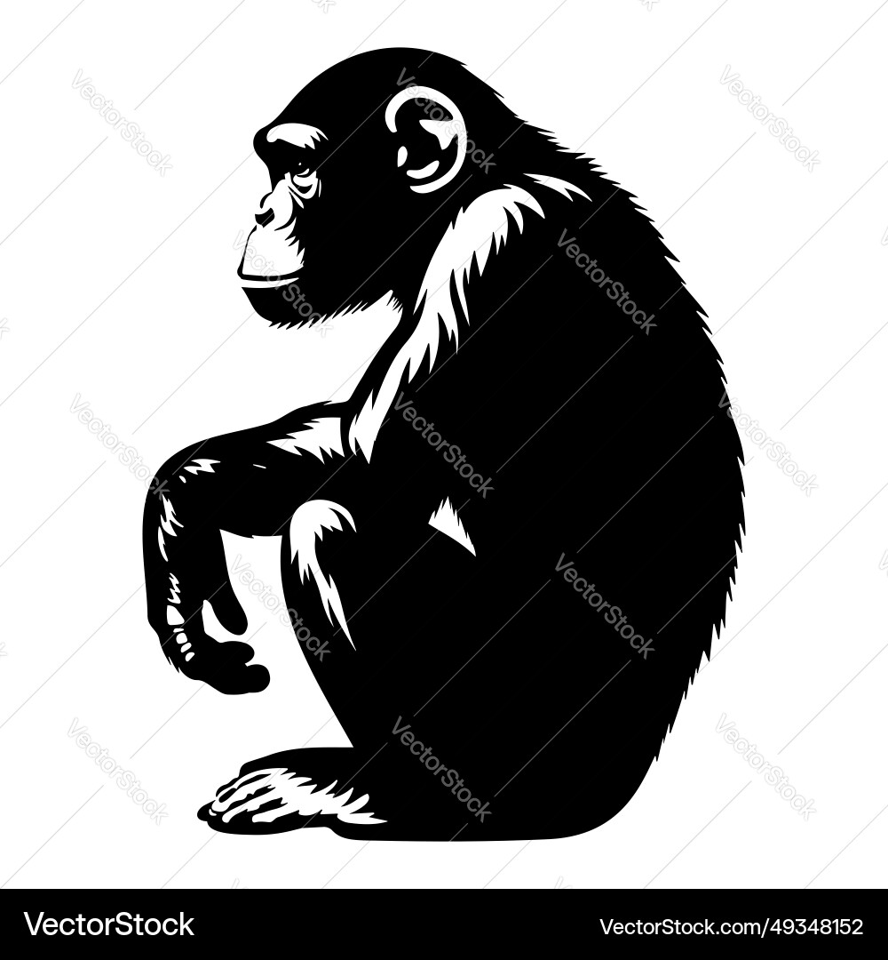 Chimpanzee sitting silhouette Royalty Free Vector Image